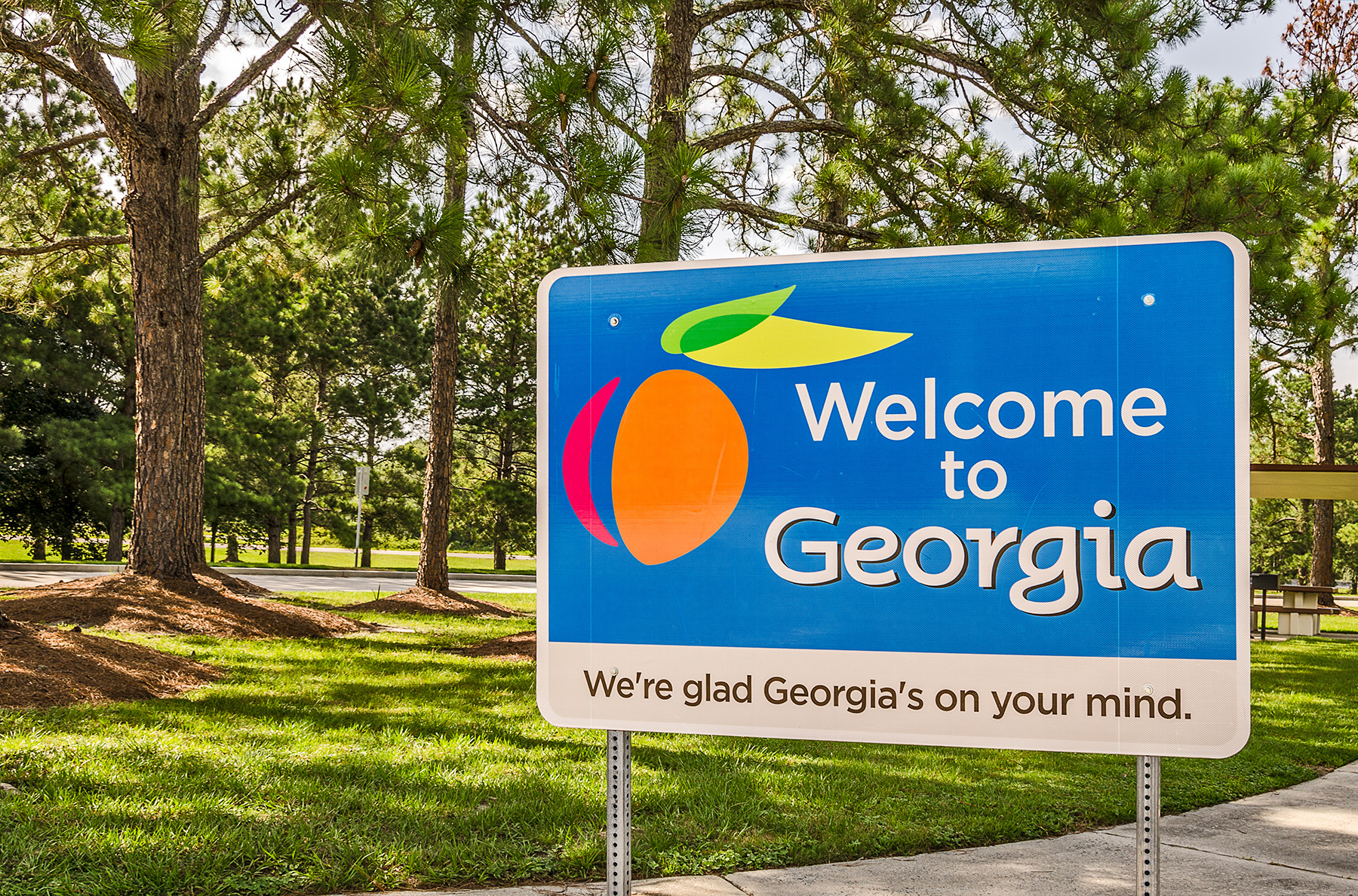 Georgia hires NTT Data to modernize state's digital infrastructure ...