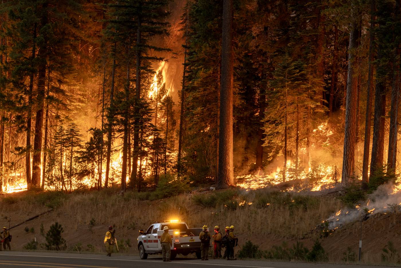 California fire agency testing responder location tracking during Park ...