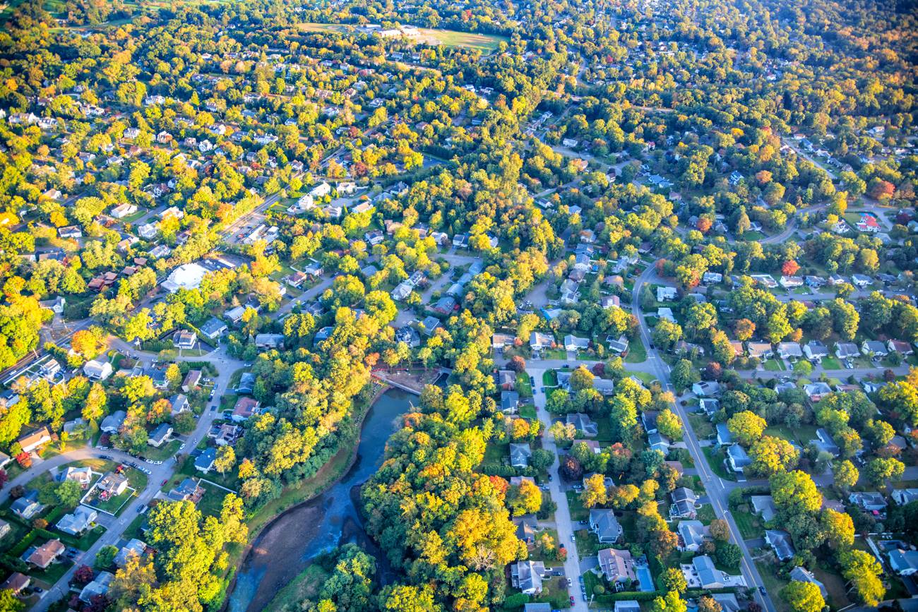 New York launches 'Tree Tracker' as part of quest for 25 million trees ...