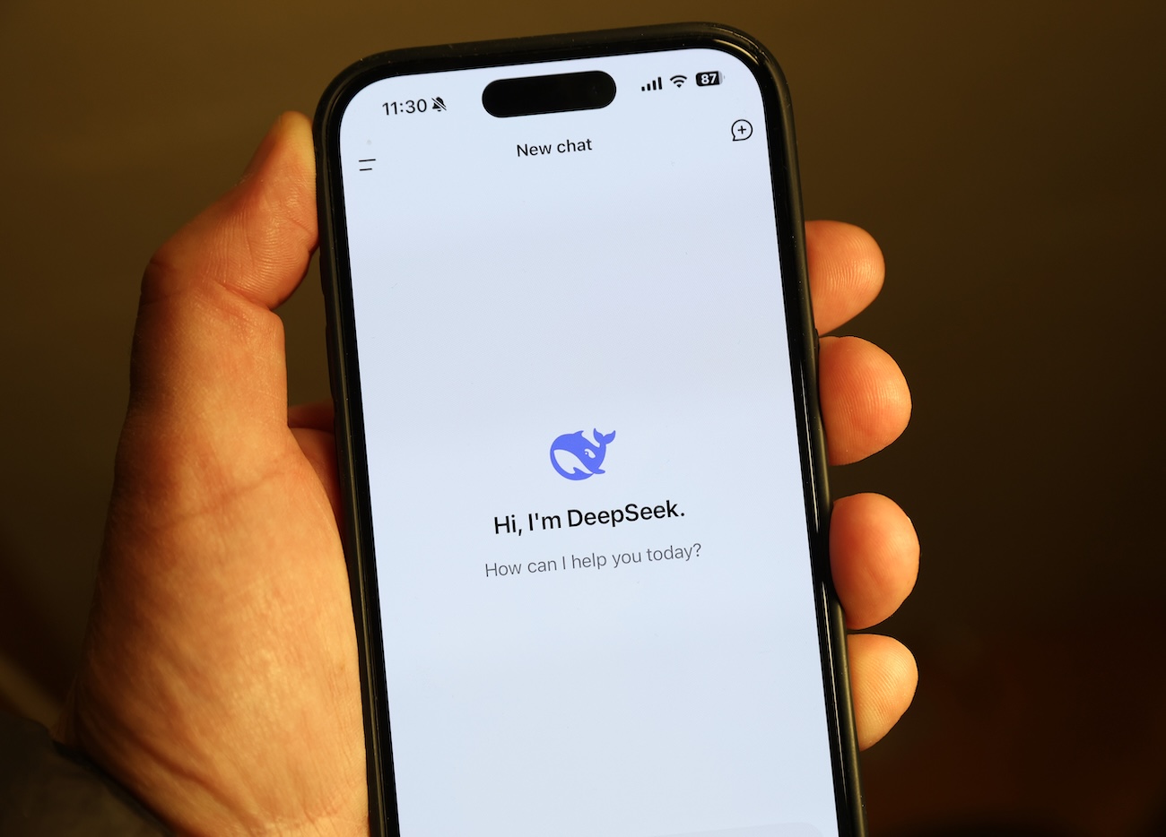 In first for states, Texas bans DeepSeek, RedNote apps from government ...